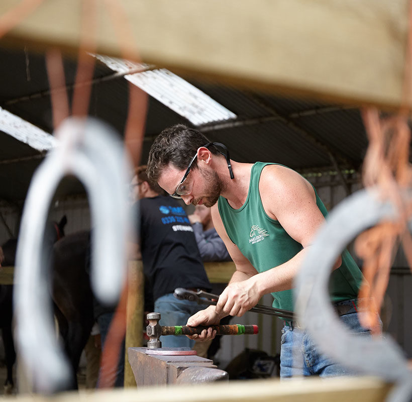 Farriers Display – Royal Norfolk Show